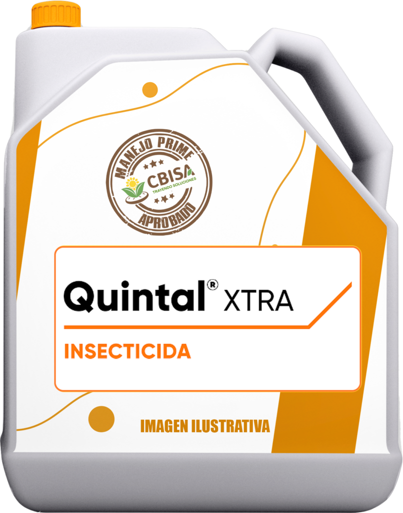 Quintal Xtra – CBISA