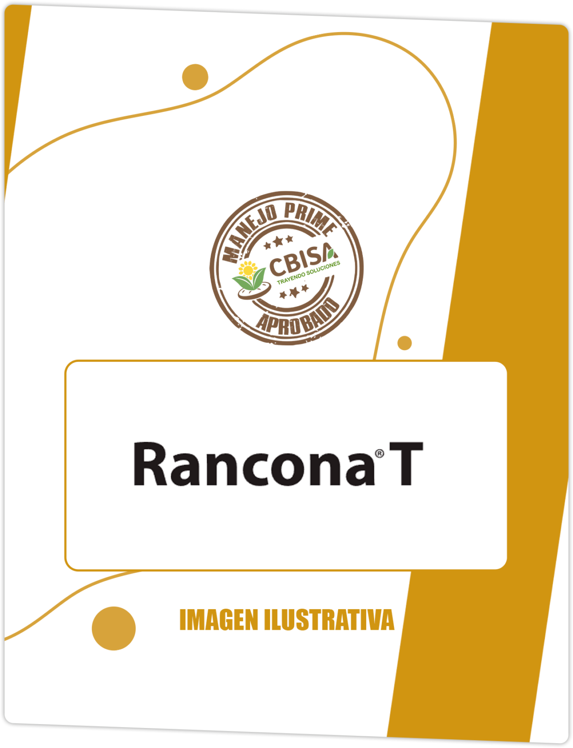 Rancona T – CBISA