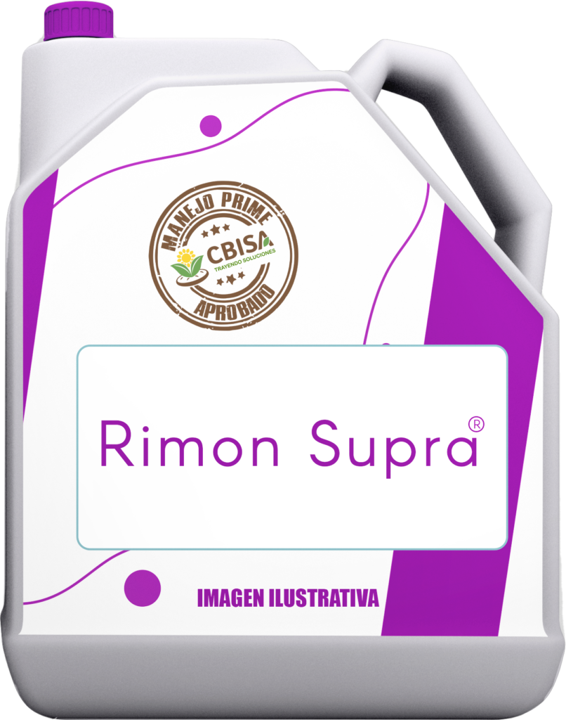 Rimon Supra – CBISA