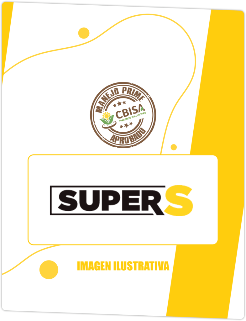 CBISA – Company Business Incorporation S.A