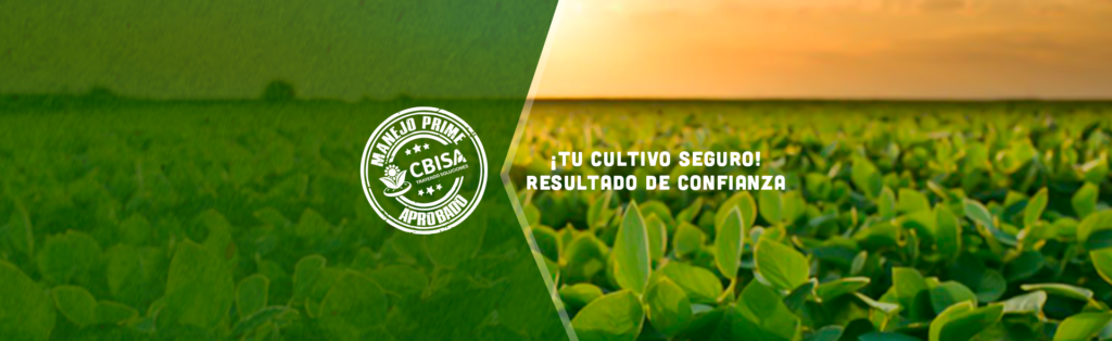 MANEJO PRIME – CBISA